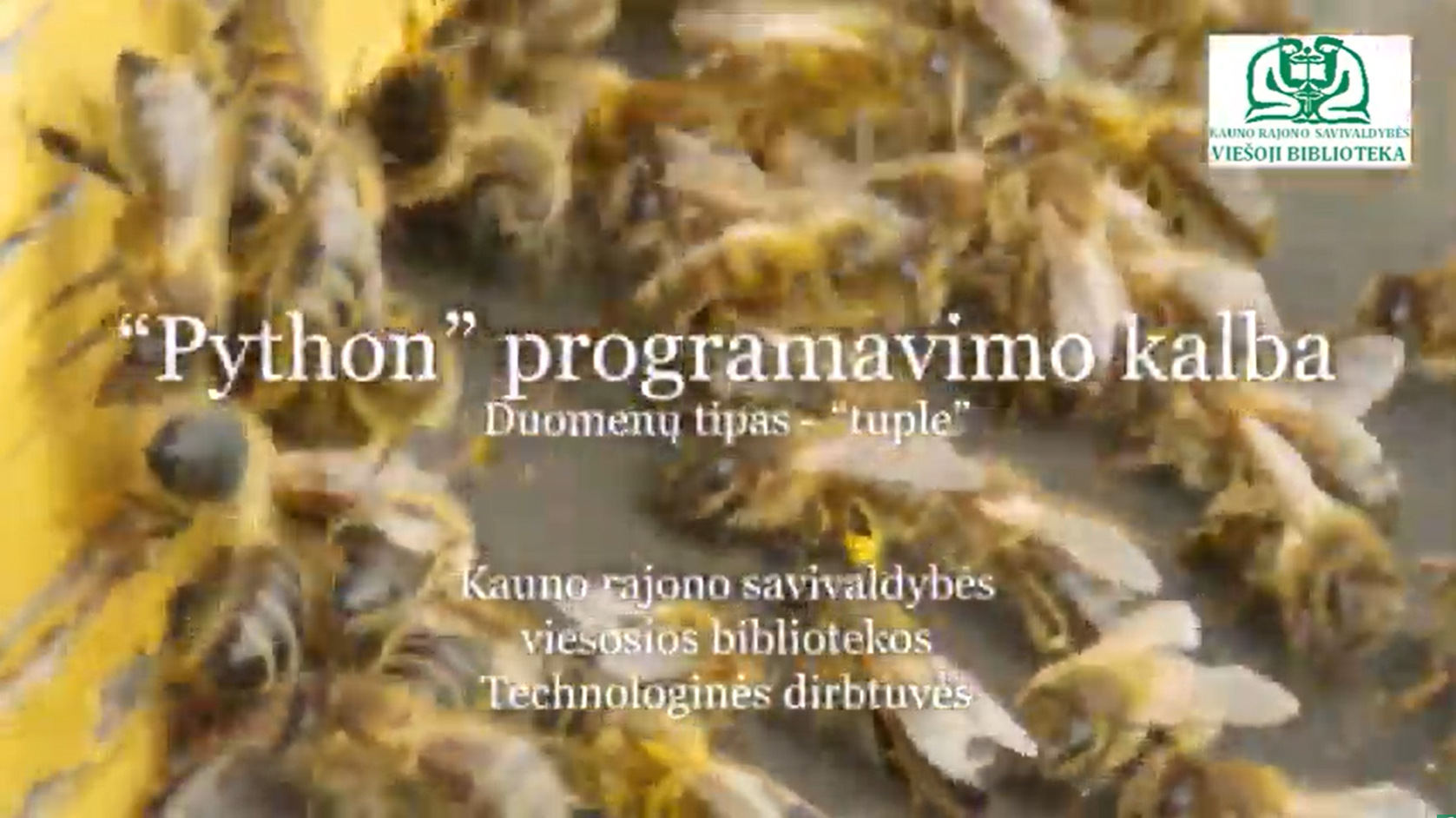 Python kalba, 12-ta pamoka